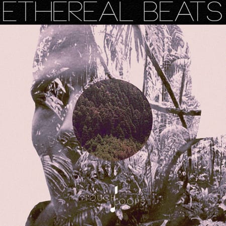 Ethereal Beats: Hip Hop Sample Pack by Touch Loops | Splice
