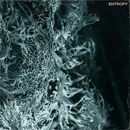 Entropy: Techno Sample Pack by Touch Loops | Splice