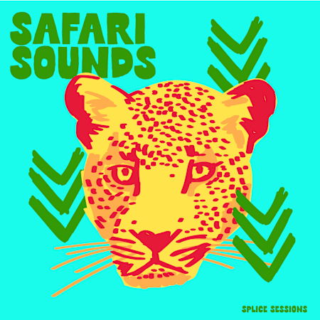 Safari Sounds: Field Recordings Sample Pack by Splice Sessions | Splice