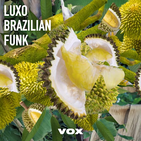 LUXO BRAZILIAN FUNK: Brazilian Funk Sample Pack by VOX | Splice