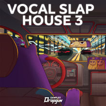 Vocal Slap House 2: Sample Pack by Dropgun Samples | Splice