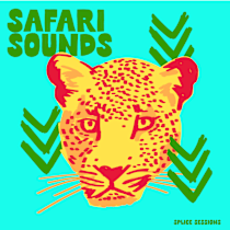 Safari Sounds: Field Recordings Sample Pack by Splice Sessions | Splice