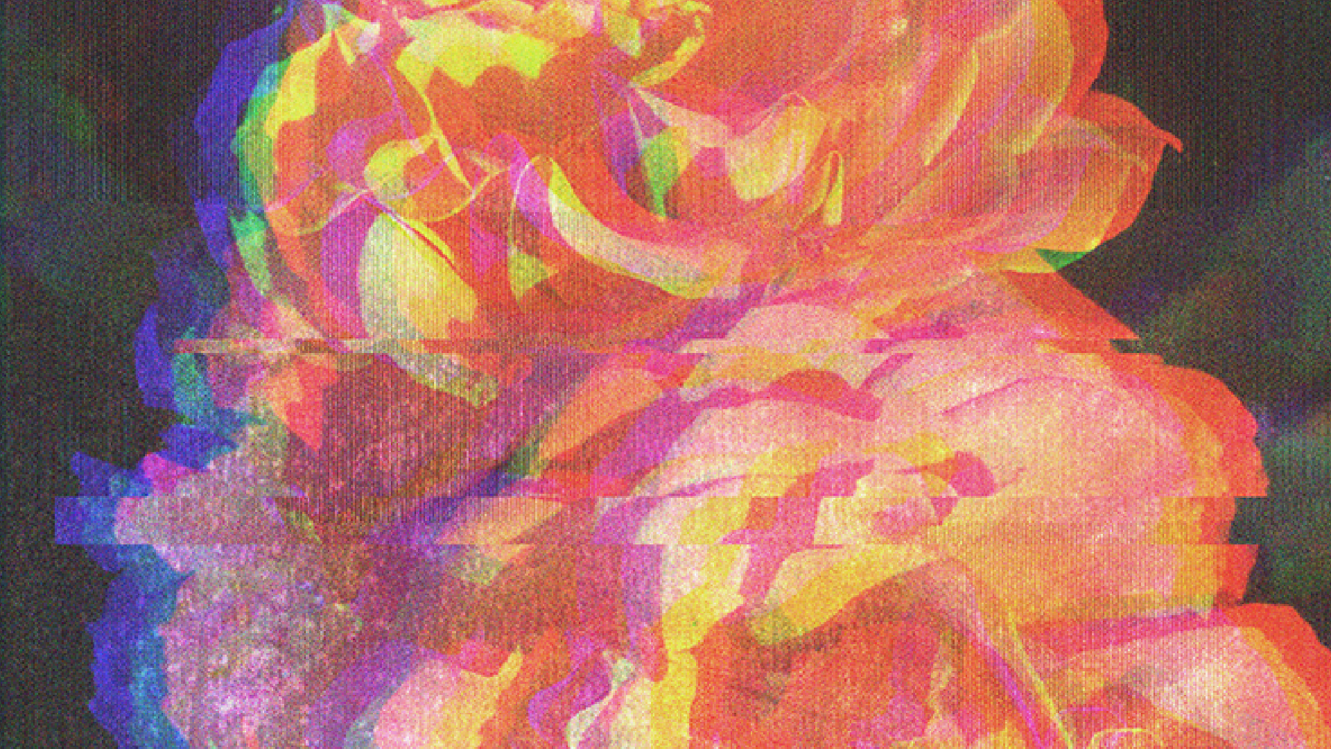 Memory Palace Bedroom Pop Samples Loops Splice Sounds Memory Palace Bedroom Pop Samples Loops Splice Sounds